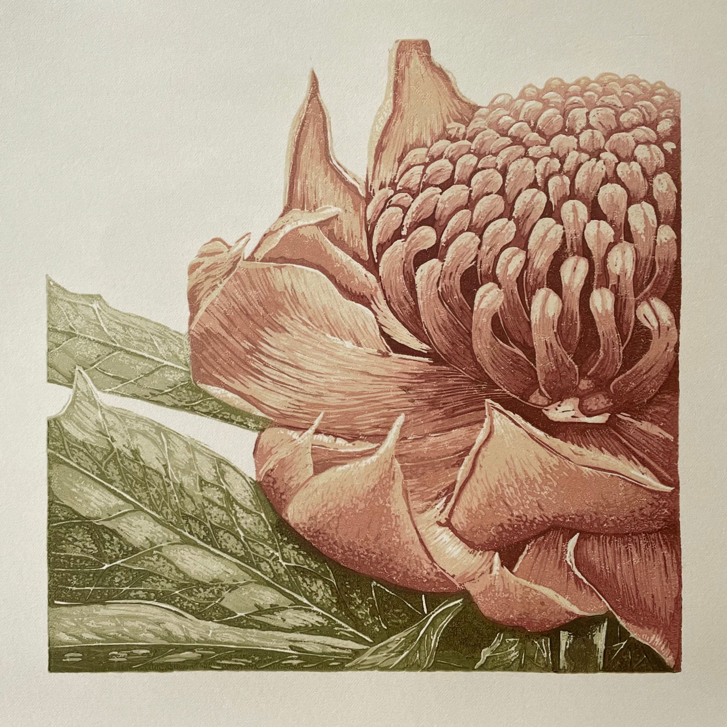 Peta West: Colour Reduction Prints | Gallery Alchemy